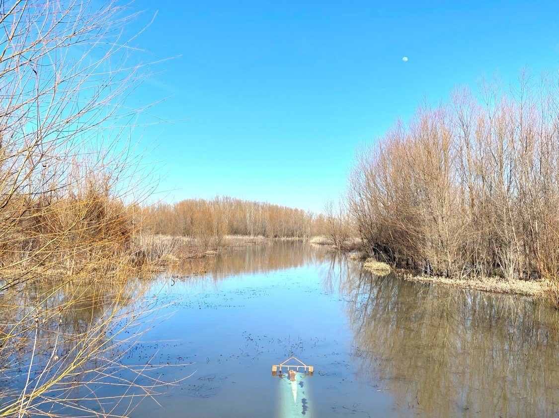 Tom Smith Land and Homes – Mississippi's Premier Property Brokerage